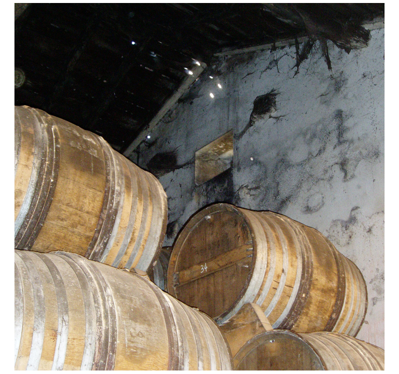 The Importance of the Cognac Cellars - Brandyclassics